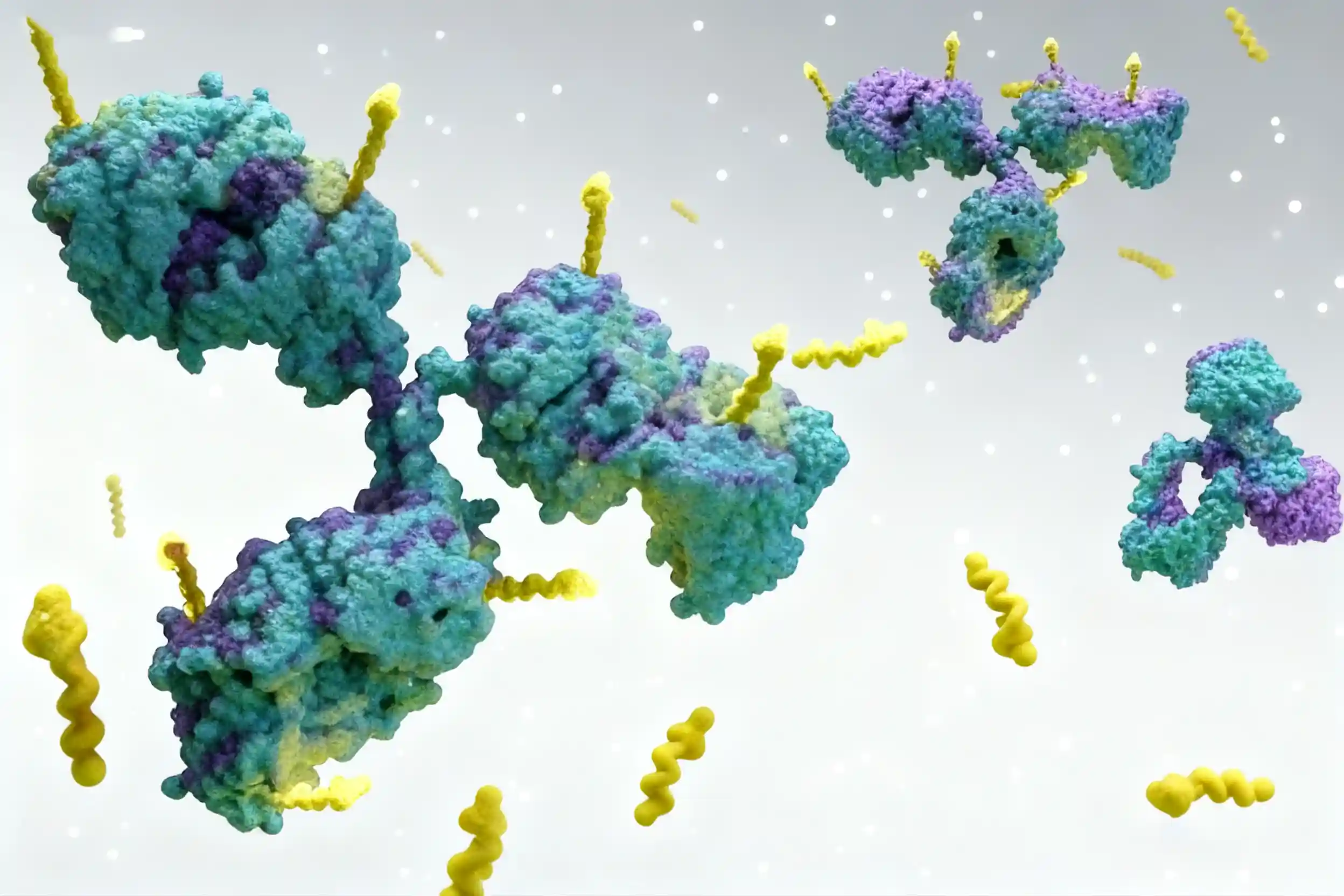 EnkiLife-Recombinant Proteins,Antibodies,Kits,Cell Biology