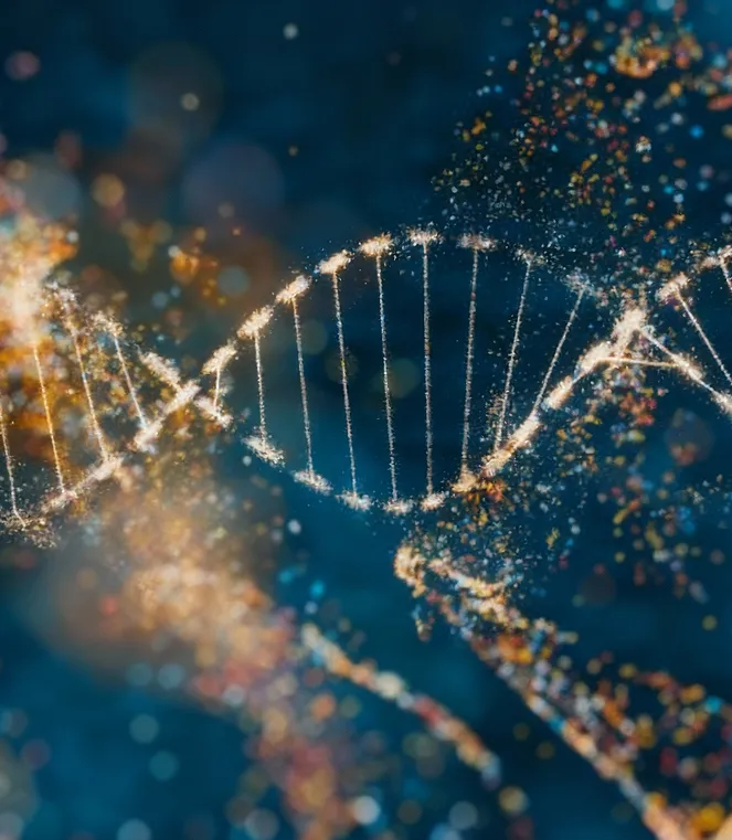 EnkiLife-Recombinant Proteins,Antibodies,Kits,Cell Biology