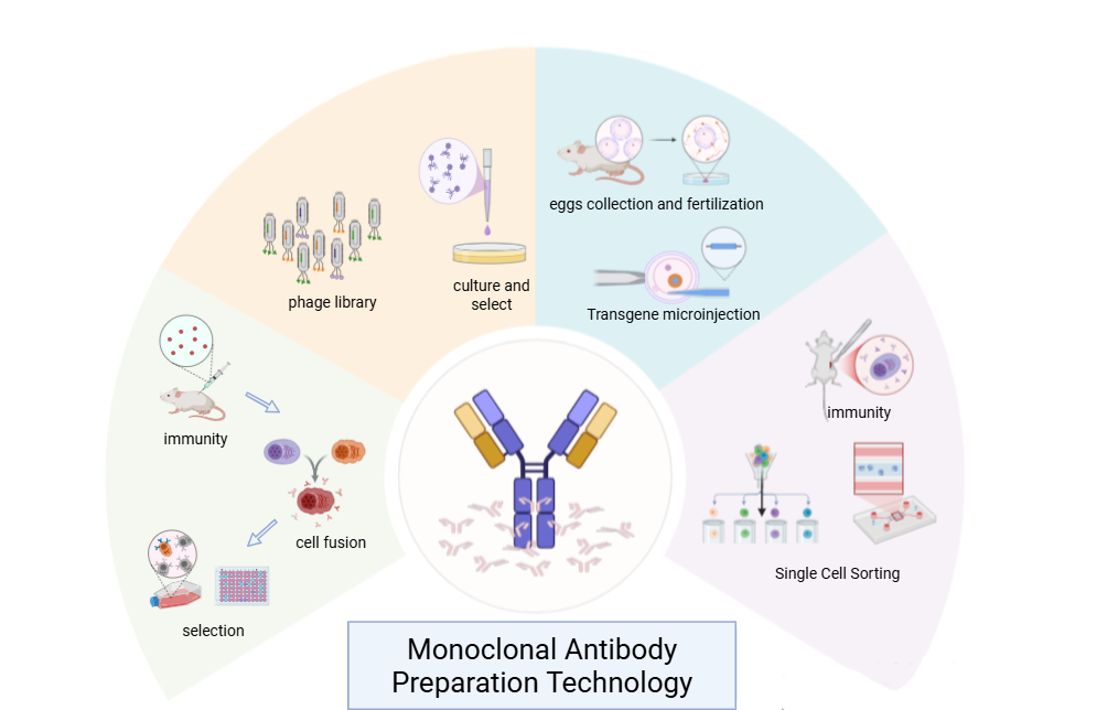 Monoclonal antibody preparation technology-EnkiLife-Recombinant ...